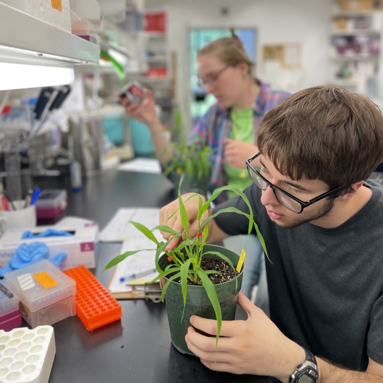 BTI REU Program | Research Experience for Undergraduates